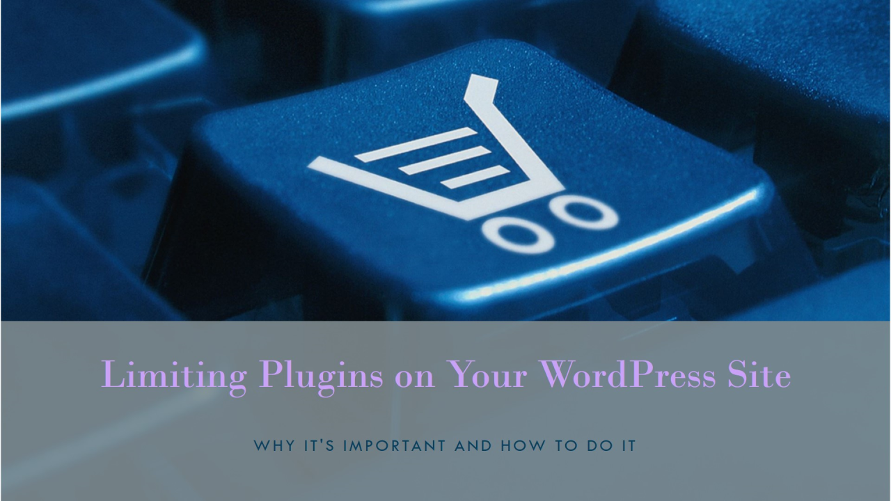 Why Should You Limit Plugins on Your WordPress Website? Why Should You Limit Plugins on Your WordPress Website?