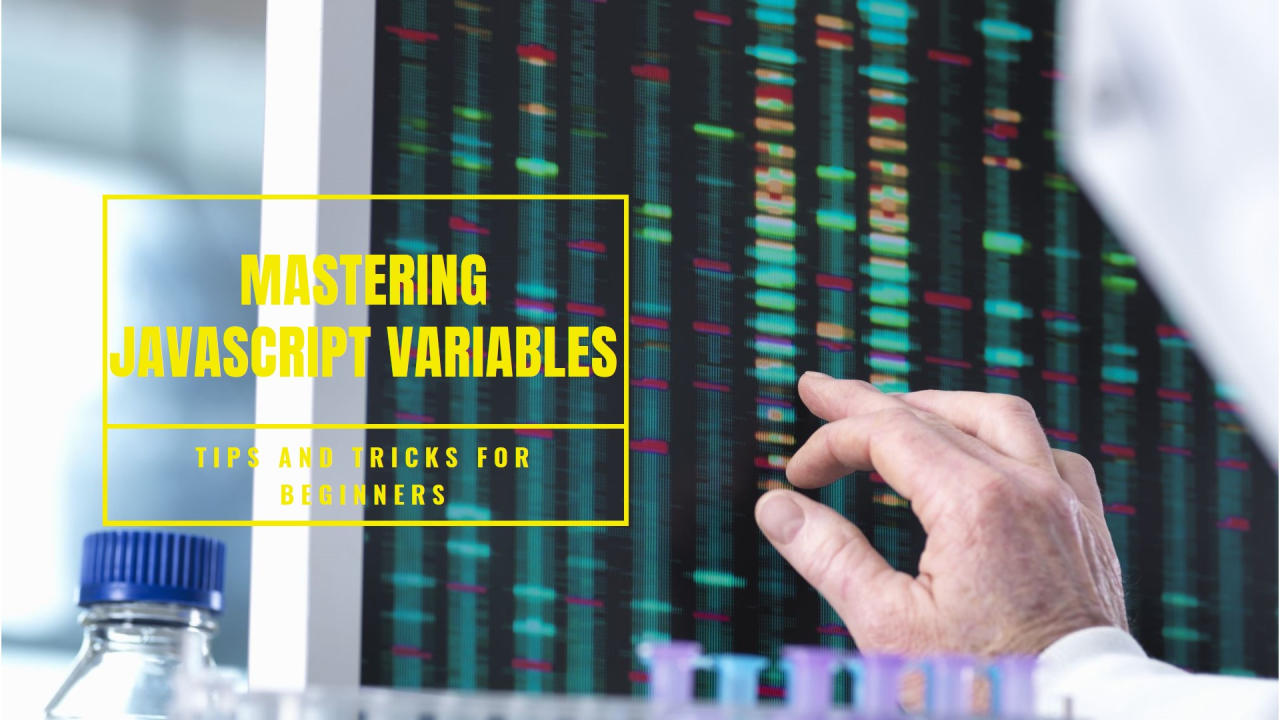 Understanding Variables in JavaScript Understanding Variables in JavaScript