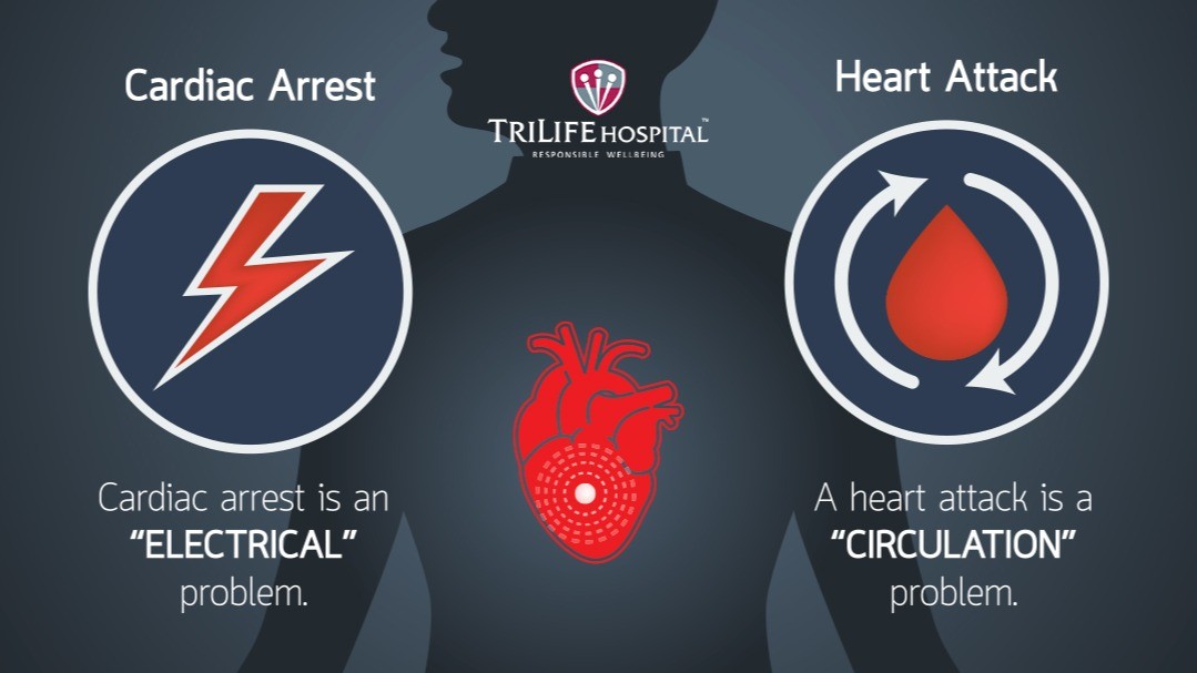 Understanding the Differences Between Heart Attack and Cardiac Arrest Understanding the Differences Between Heart Attack and Cardiac Arrest