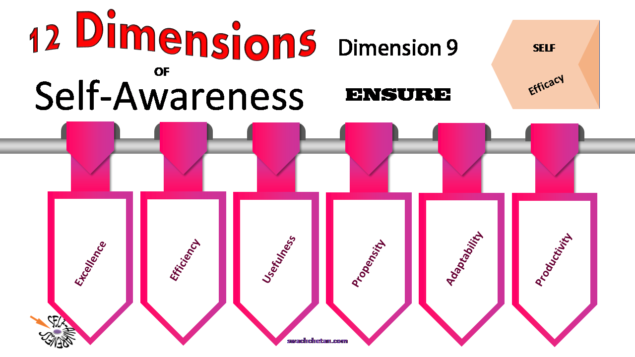Dimension 9: Self-Efficacy Dimension 9: Self-Efficacy