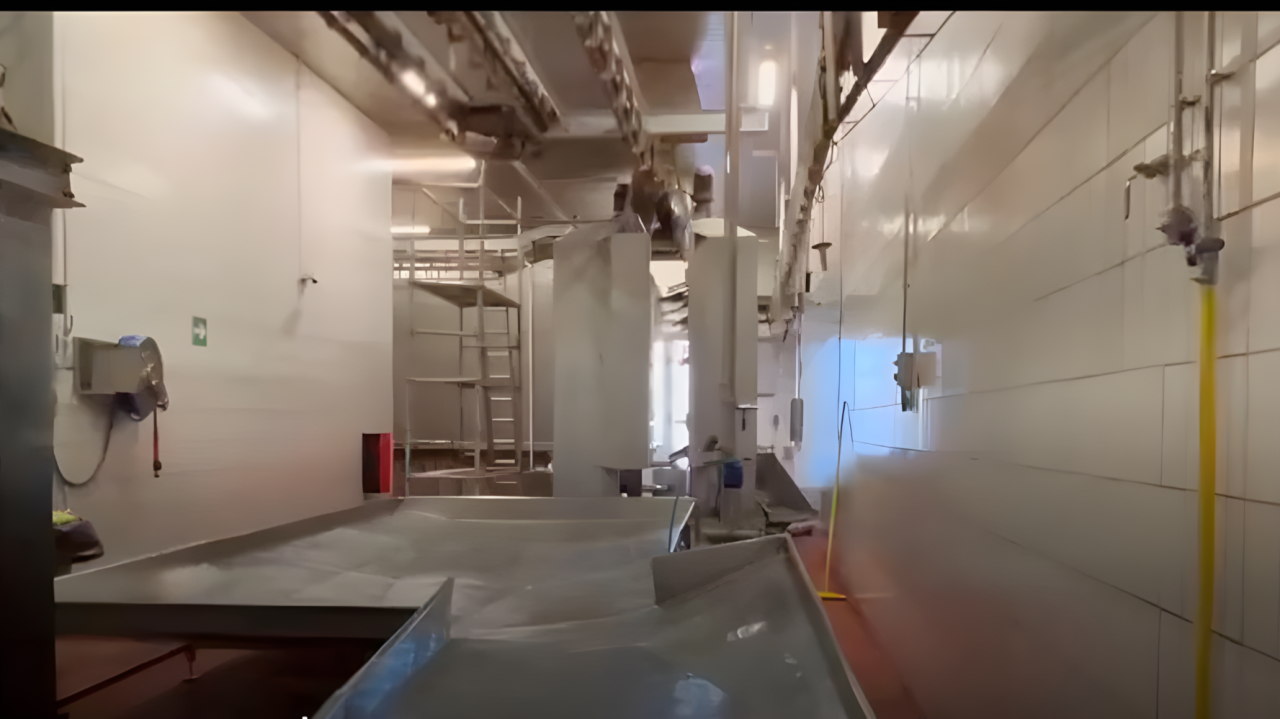 Optimiza tu Matadero: Equipos Clave para una Zona de Sangrado Eficiente ... Optimiza tu Matadero: Equipos Clave para una Zona de Sangrado Eficiente ...
