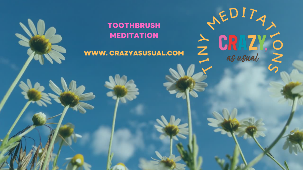Introducing Tiny Meditations Introducing Tiny Meditations