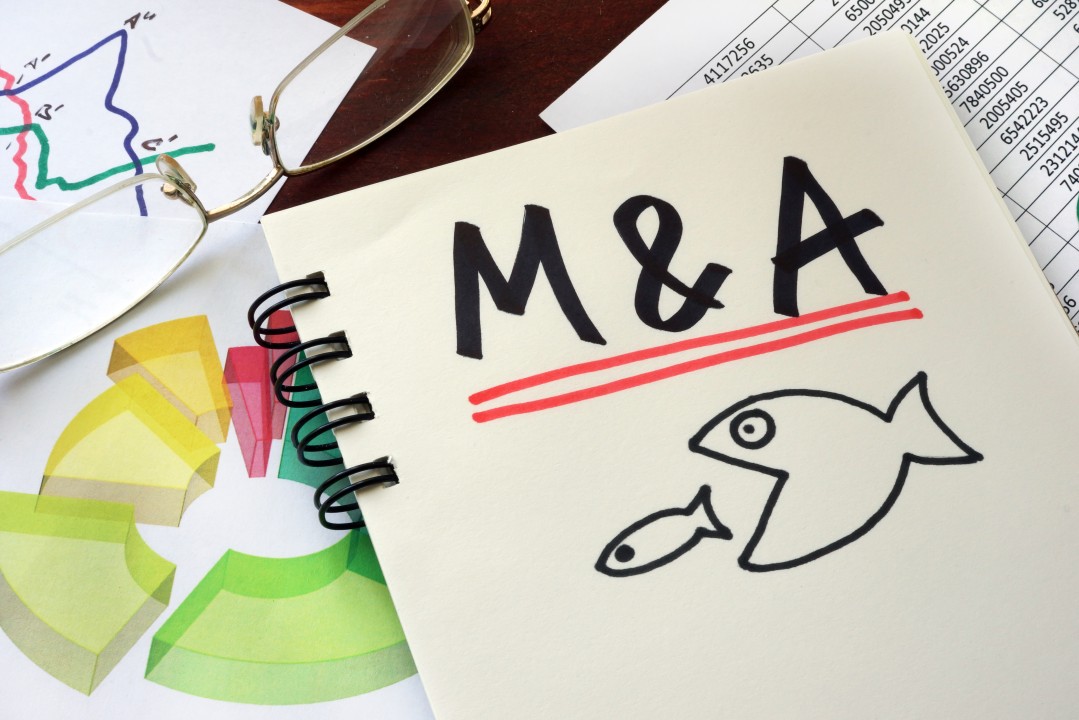 Demystifying Mergers and Acquisitions and the Impact on Smaller ... Demystifying Mergers and Acquisitions and the Impact on Smaller ...