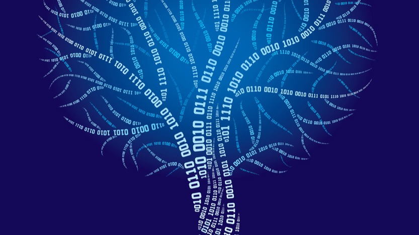 🌳 Mastering Binary Trees – The Backbone of Efficient Data Processing 🌳 Mastering Binary Trees – The Backbone of Efficient Data Processing