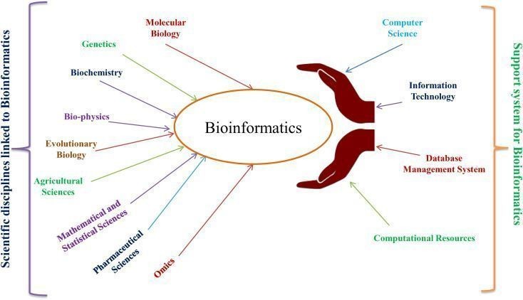 Bioinformatics Market - Forecast(2024 - 2030) Bioinformatics Market - Forecast(2024 - 2030)