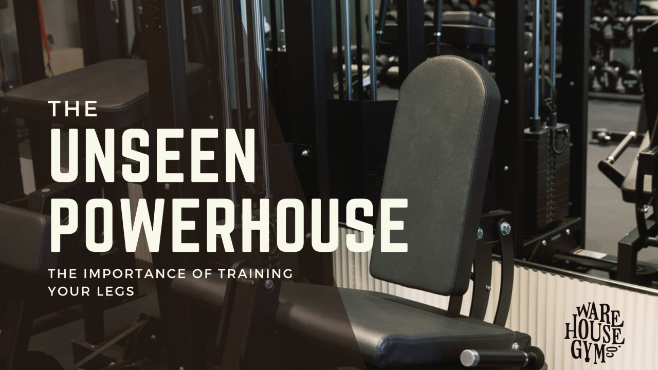 The Unseen Powerhouse: The Importance of Training Your Legs The Unseen Powerhouse: The Importance of Training Your Legs