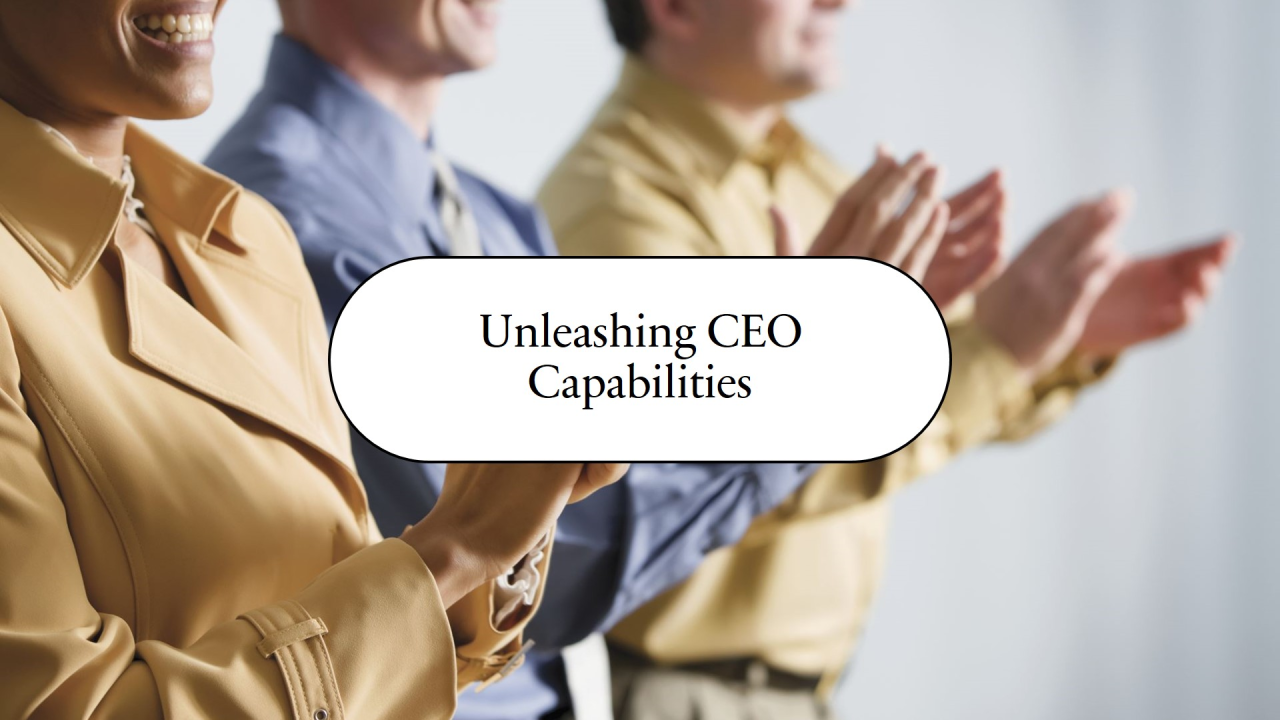 CEO Capabilities CEO Capabilities