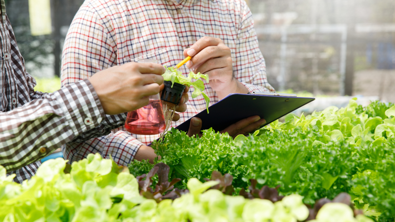 Transforming African Agriculture Through Sustainable Innovation | LEAF ... Transforming African Agriculture Through Sustainable Innovation | LEAF ...