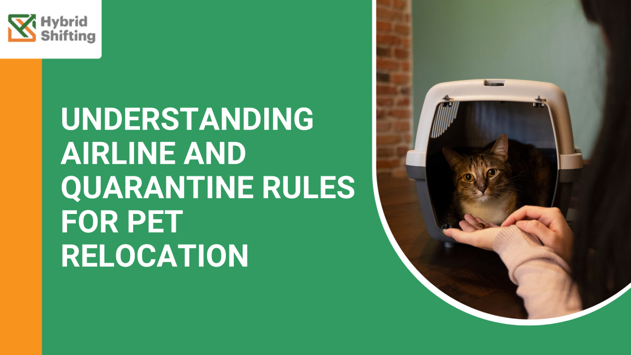 Understanding Airline and Quarantine Rules for Pet Relocation Understanding Airline and Quarantine Rules for Pet Relocation