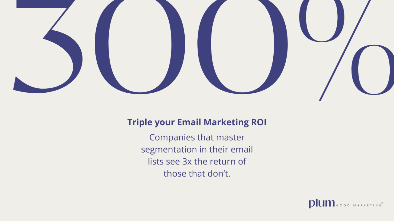 Maximizing Email Marketing ROI Through Strategic Segmentation Maximizing Email Marketing ROI Through Strategic Segmentation