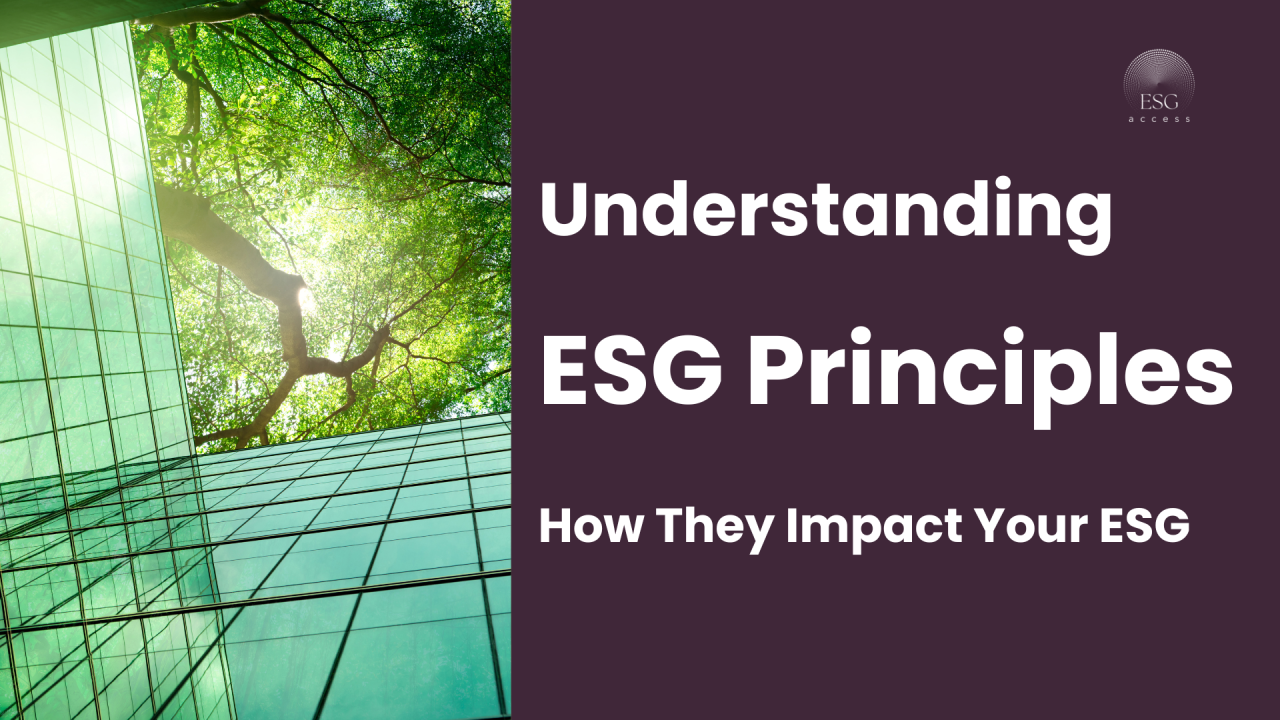 Understanding ESG Principles - ESG Access Understanding ESG Principles - ESG Access