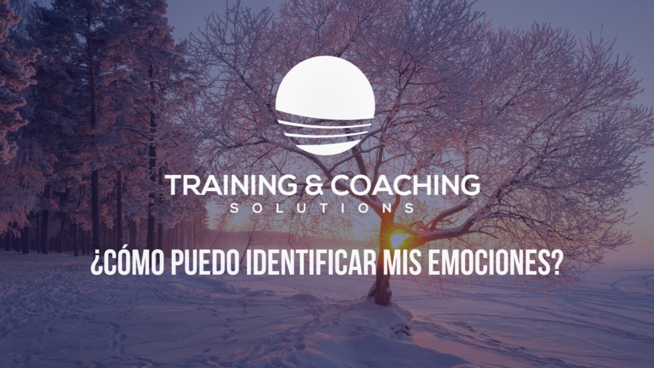 ¿Como puedo identificar mis emociones? ¿Como puedo identificar mis emociones?