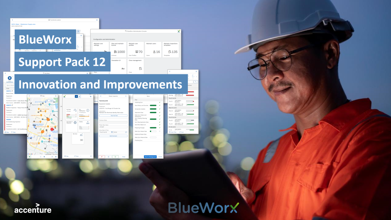 BlueWorx Support Pack 12 BlueWorx Support Pack 12