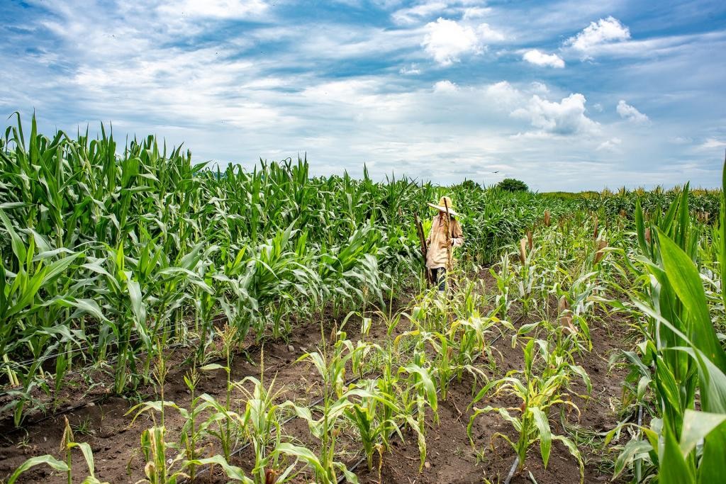 Significance of Accuracy Farming Significance of Accuracy Farming