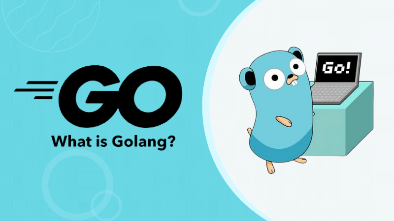 Go (Golang): The Future of Scalable and Efficient Software Development Go (Golang): The Future of Scalable and Efficient Software Development