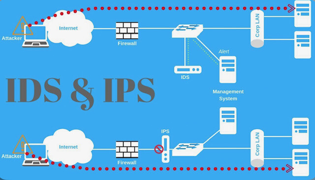 Understanding the Difference Between IPS and IDS in Cybersecurity Understanding the Difference Between IPS and IDS in Cybersecurity