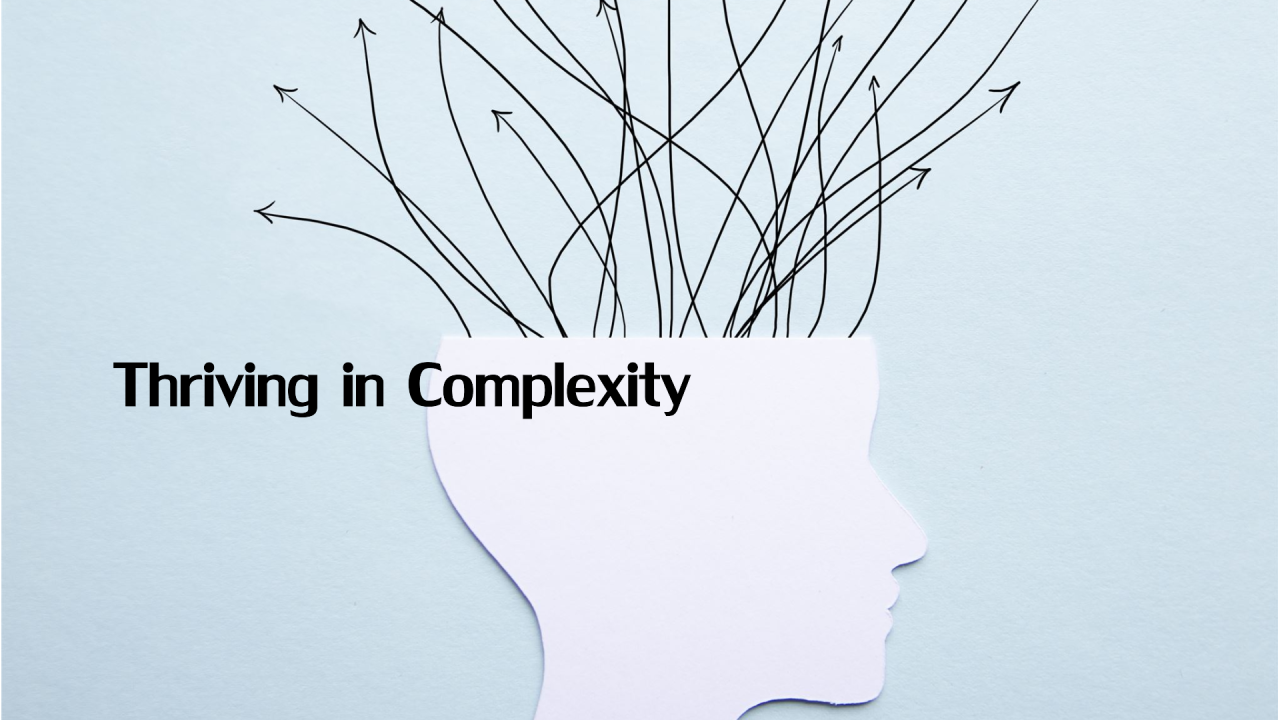 Resilience in Complexity: Thriving When Life Gets Tough Resilience in Complexity: Thriving When Life Gets Tough
