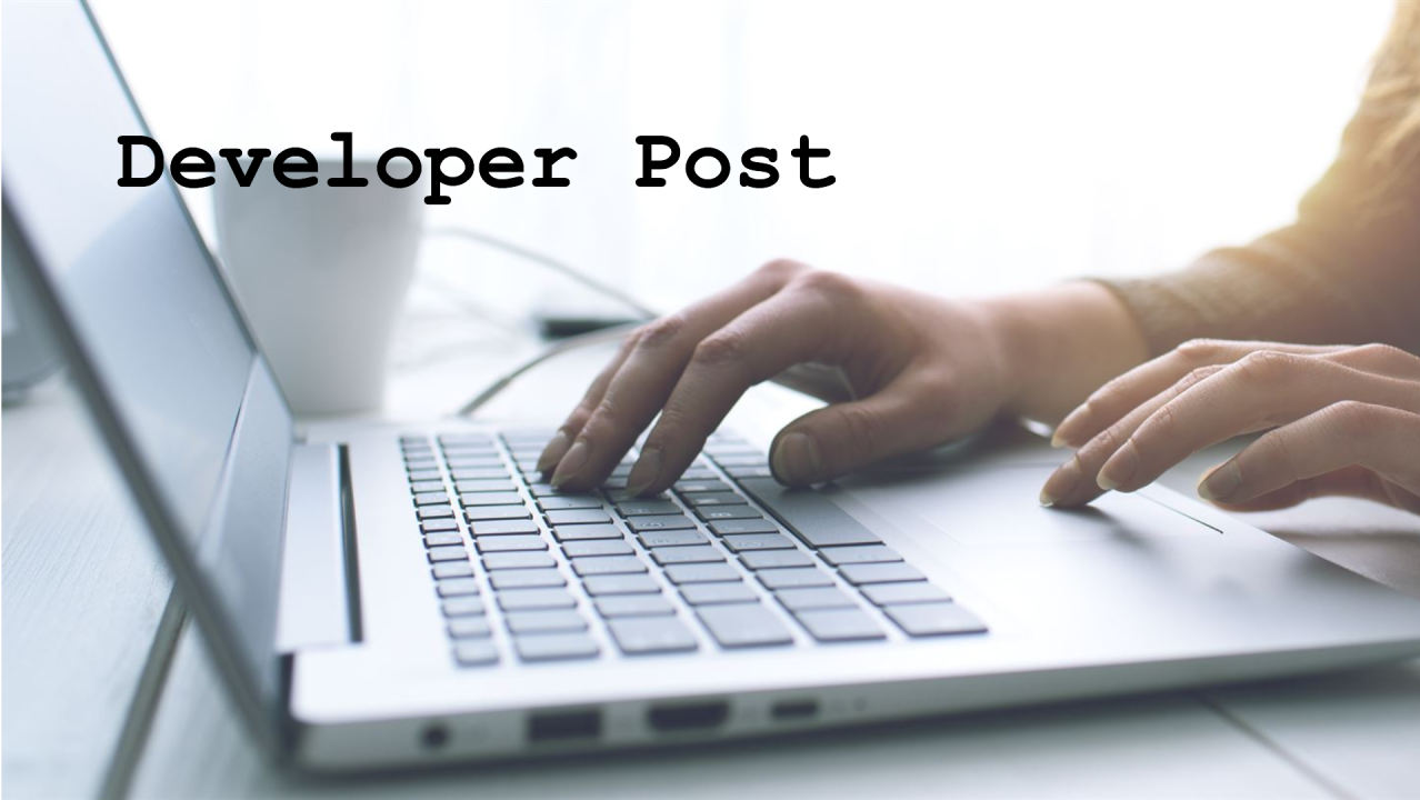 Developer Post Developer Post