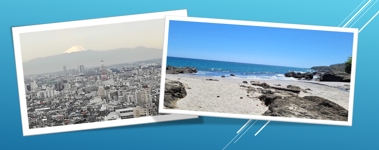 Work-life Dilemma. Should I stay or should I go? Work-life Dilemma. Should I stay or should I go?
