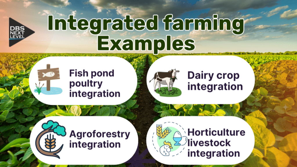 Farming Beyond Crops: Exploring Diversification for Smallholder Income💰 Farming Beyond Crops: Exploring Diversification for Smallholder Income💰