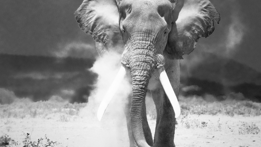 How do external wait events affect PostgreSQL performance? How do external wait events affect PostgreSQL performance?