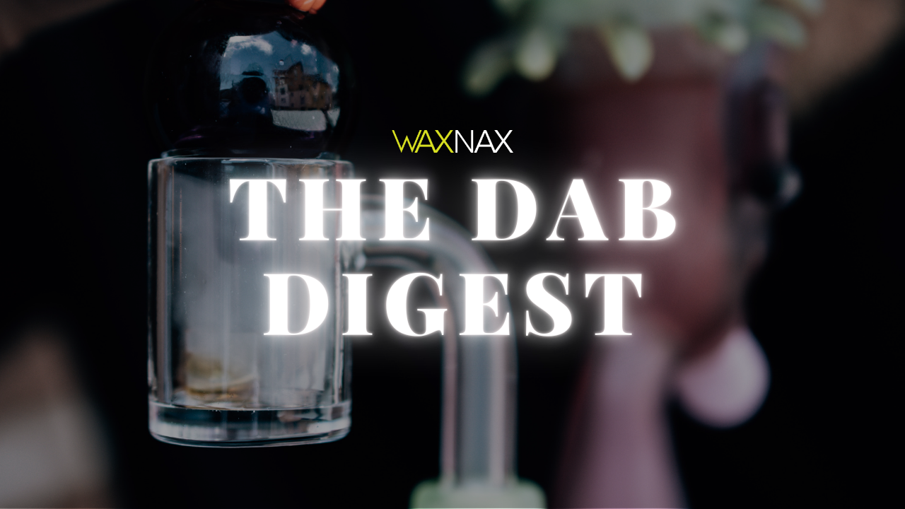 The Dab Digest: Mastering the Art of Balance The Dab Digest: Mastering the Art of Balance