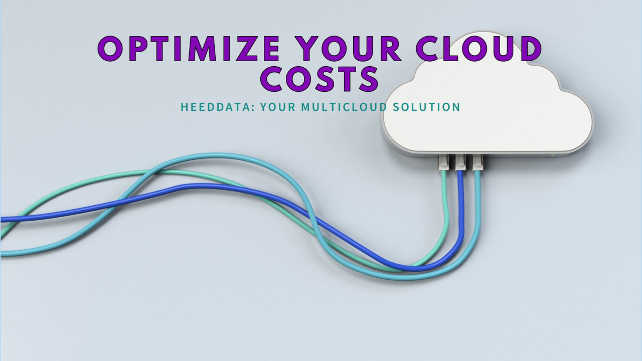Optimize your cloud costs with Heeddata. Optimize your cloud costs with Heeddata.