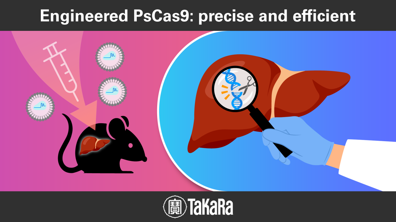 Setting new benchmarks for safe and efficient therapeutic genome editing Setting new benchmarks for safe and efficient therapeutic genome editing