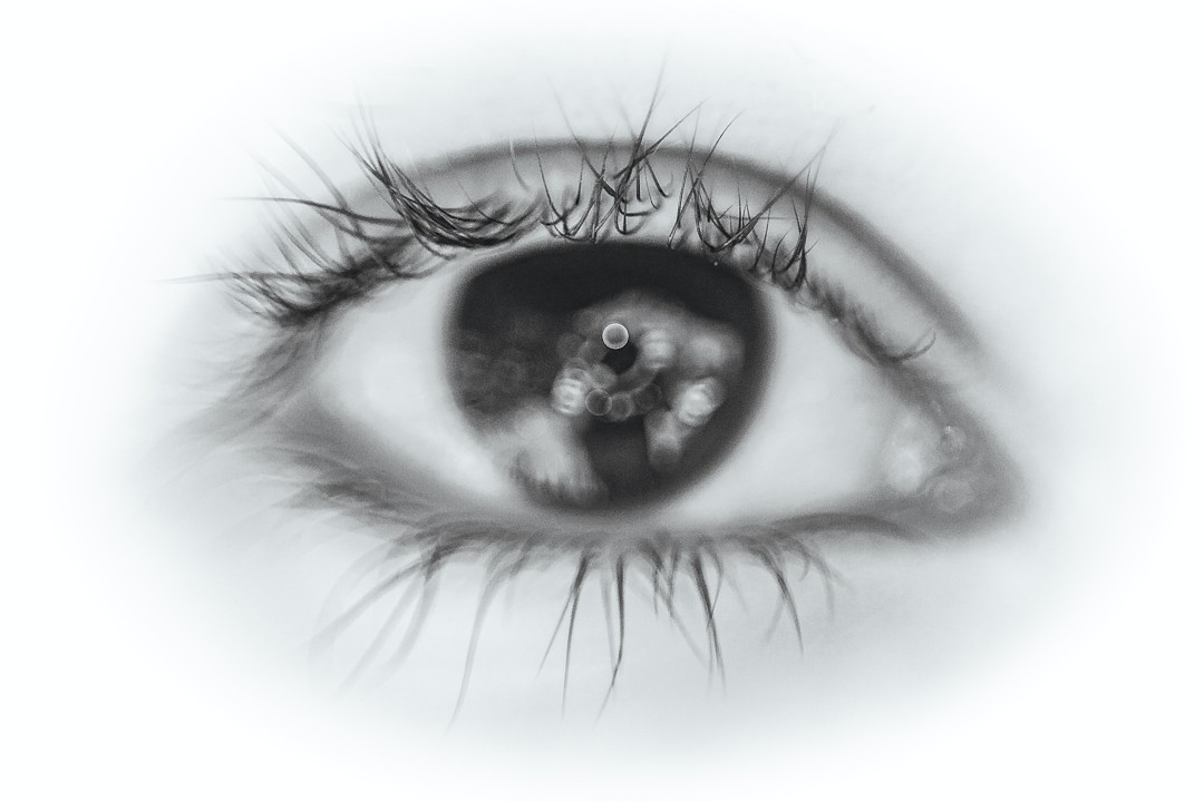 Exploring the 2024 False Eyelash Market: A Comprehensive Investigation Exploring the 2024 False Eyelash Market: A Comprehensive Investigation
