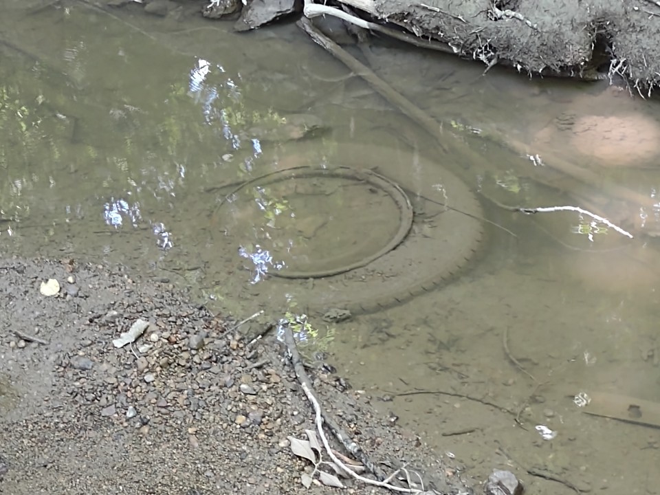 With Justice for Some - Replacing (Some) Lead Water Supply Lines With Justice for Some - Replacing (Some) Lead Water Supply Lines