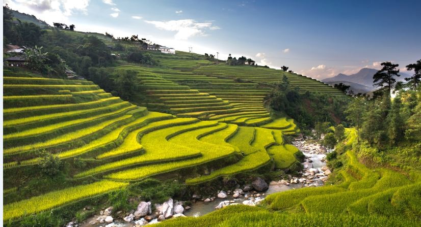 Ravi Rajput: A Progressive Farmer from Himachal | Harsh Singh Ravi Rajput: A Progressive Farmer from Himachal | Harsh Singh