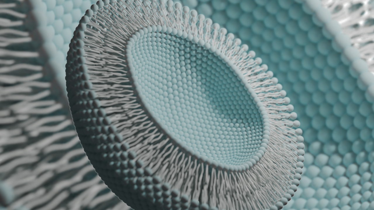Lipid Nanoparticles for RNA Delivery Lipid Nanoparticles for RNA Delivery