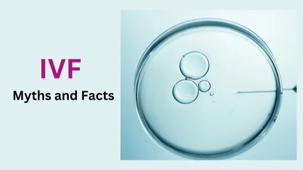 Myths and Facts About IVF: Debunking Common Misconceptions Myths and Facts About IVF: Debunking Common Misconceptions