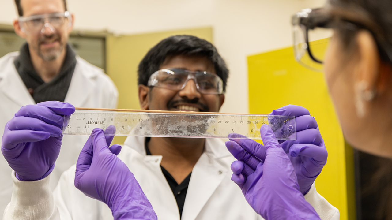 Spider-Man suits? Tulane researchers develop new material inspired by ... Spider-Man suits? Tulane researchers develop new material inspired by ...