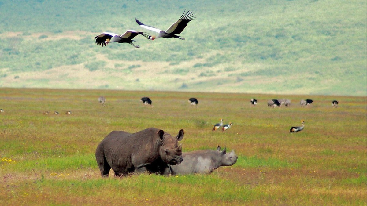 Top five reasons why you should consider Tanzania as your vacation ... Top five reasons why you should consider Tanzania as your vacation ...