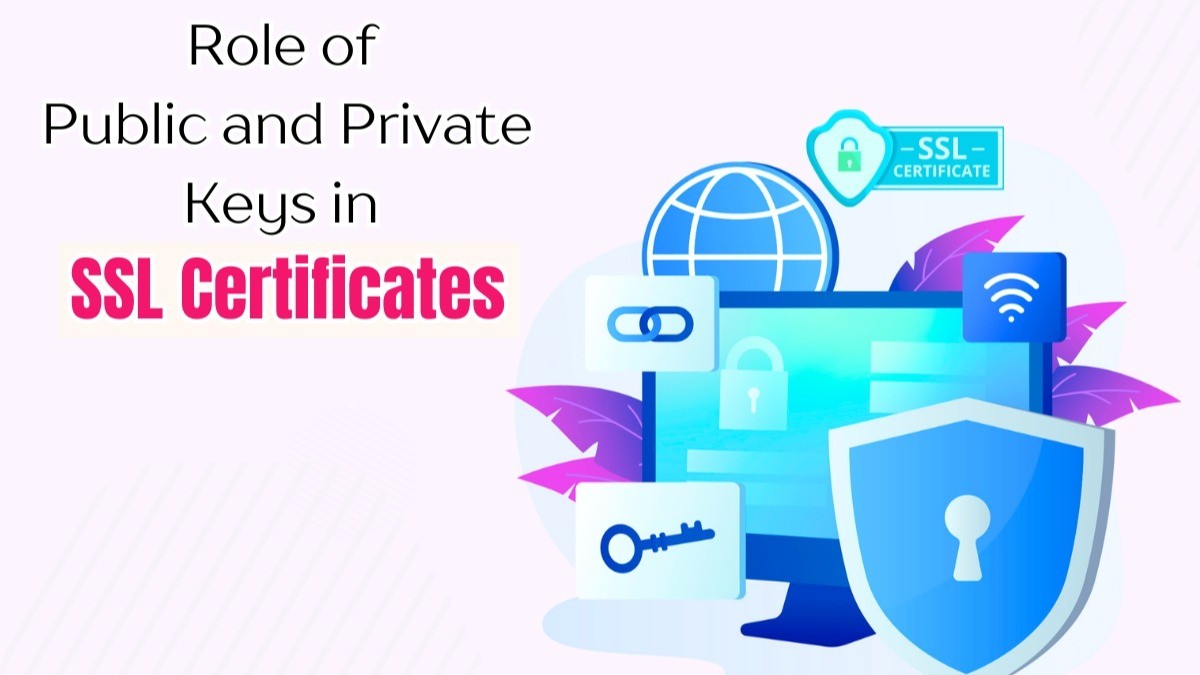 Understanding the Role of Public and Private Keys in SSL Certificates Understanding the Role of Public and Private Keys in SSL Certificates