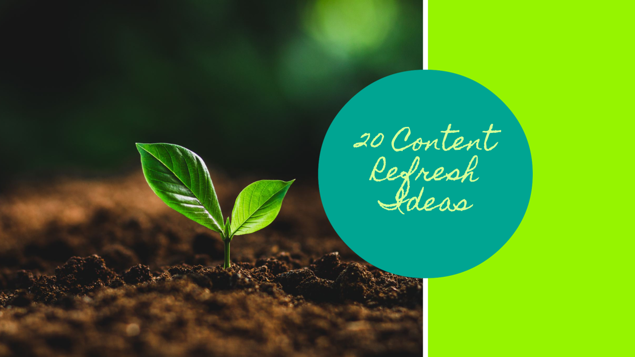 20 Content Refresh Ideas 20 Content Refresh Ideas