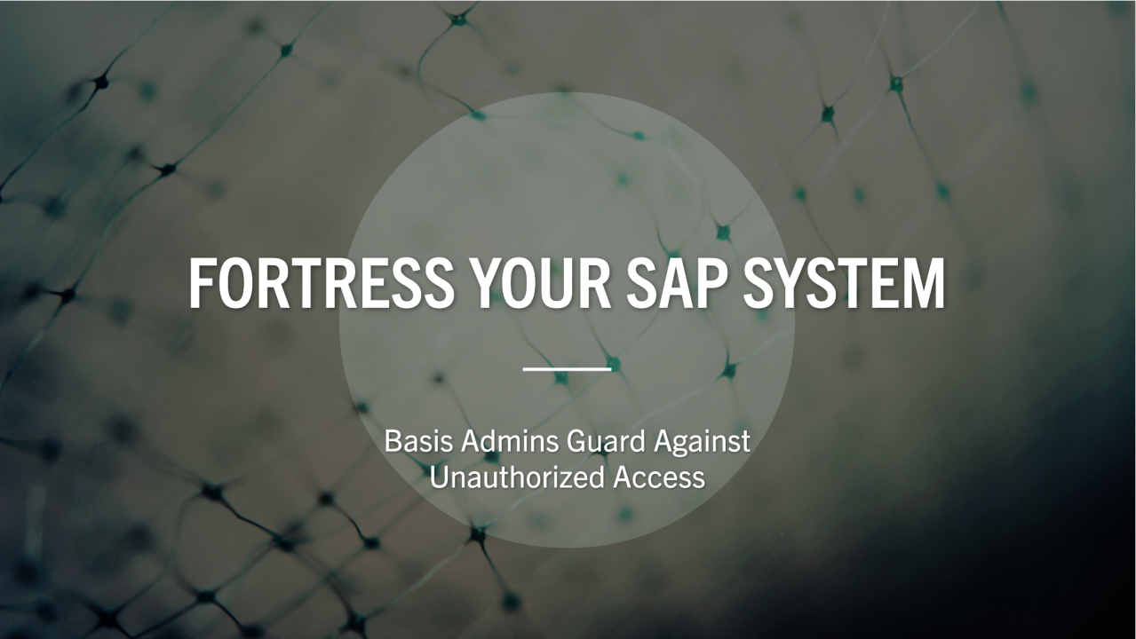 Fortressing Your SAP System: How Basis Admins Guard Against ... Fortressing Your SAP System: How Basis Admins Guard Against ...