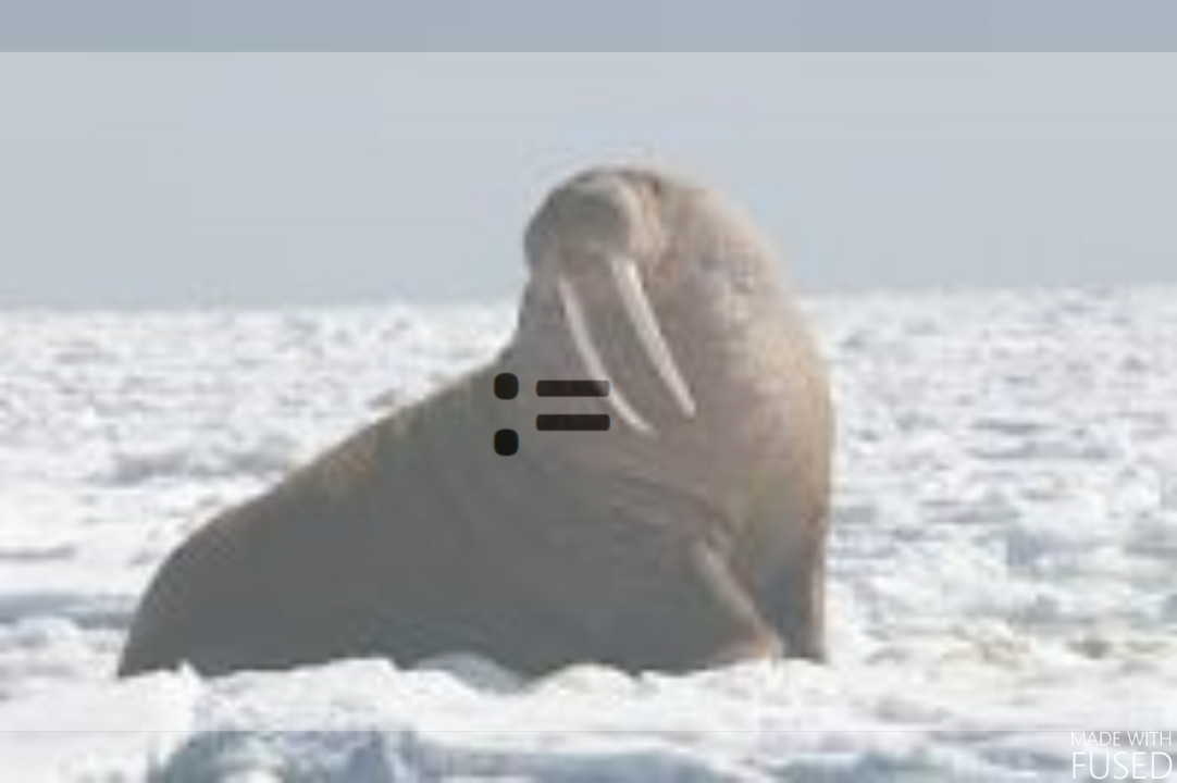 Walrus Operator in Python Walrus Operator in Python