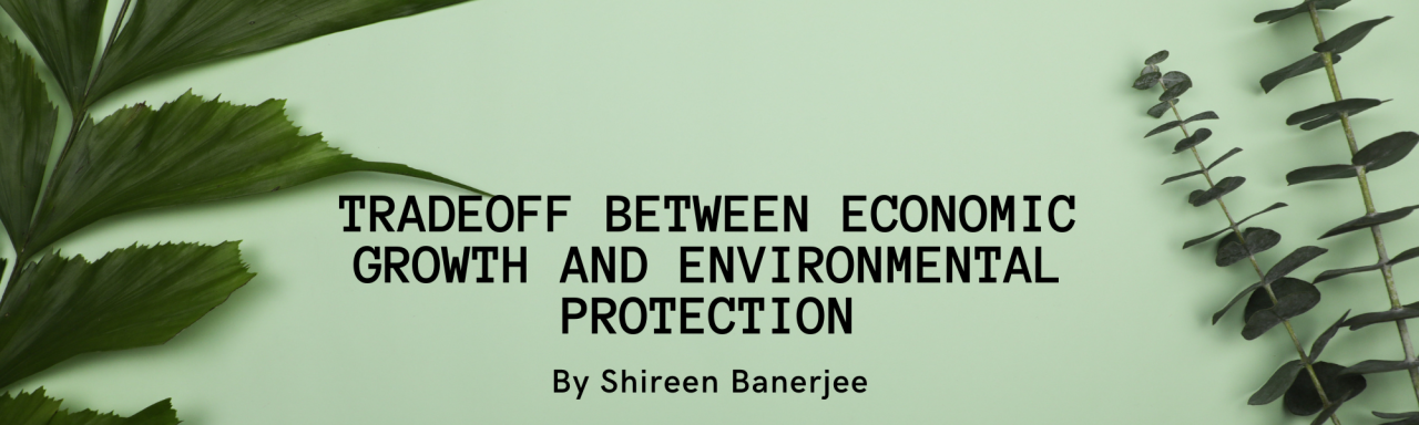 TRADEOFFS BETWEEN ECONOMIC GROWTH AND ENVIRONMENTAL PROTECTION TRADEOFFS BETWEEN ECONOMIC GROWTH AND ENVIRONMENTAL PROTECTION