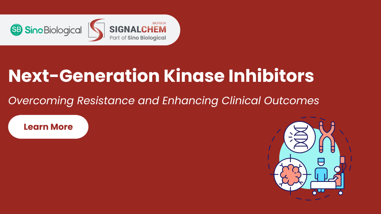 Next-Generation Kinase Inhibitors: Overcoming Resistance and Enhancing ... Next-Generation Kinase Inhibitors: Overcoming Resistance and Enhancing ...