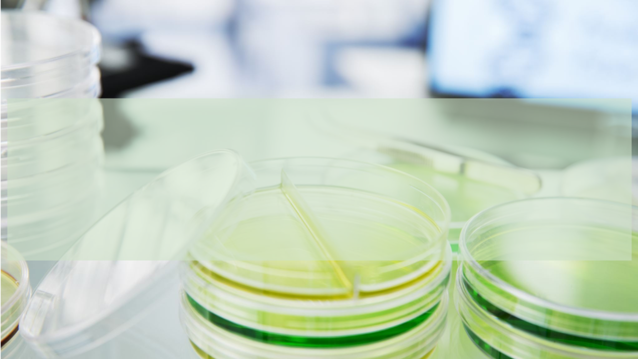 Korean Scientists Discover Molecular Switch to Reverse Cancer Cells Korean Scientists Discover Molecular Switch to Reverse Cancer Cells