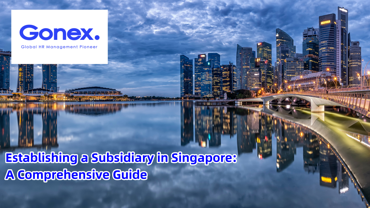 SG Subsidiary Setup SG Subsidiary Setup