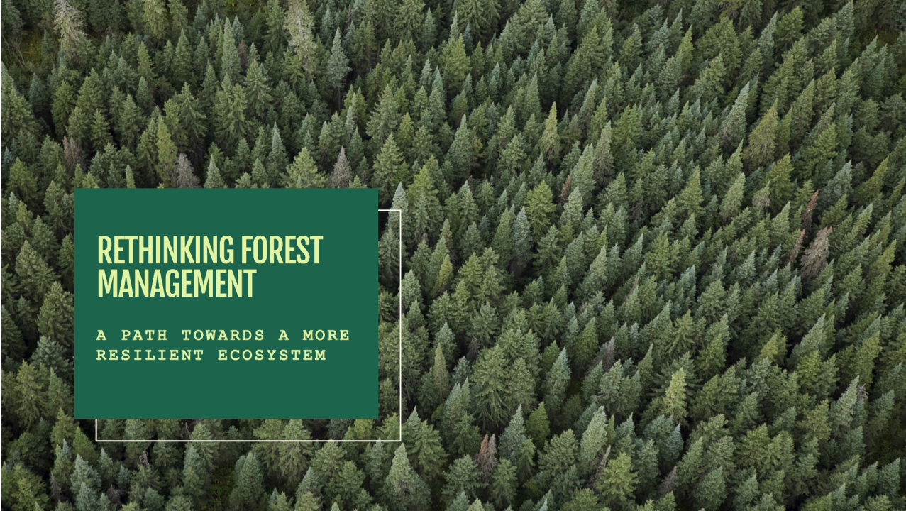 Rethinking Forest Management: Path Towards Resilient Ecosystems Rethinking Forest Management: Path Towards Resilient Ecosystems