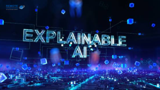 Explainable AI (XAI): Demystifying the Black Box of Artificial Intelligence Explainable AI (XAI): Demystifying the Black Box of Artificial Intelligence