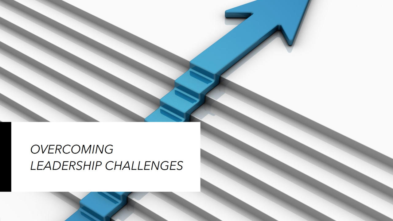The Most Common Leadership Challenges at Every Level The Most Common Leadership Challenges at Every Level