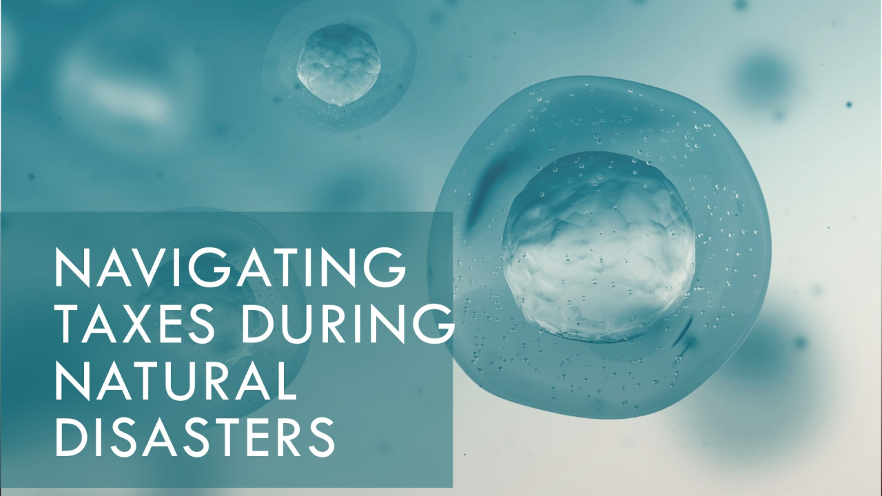 Surviving the Storm: Navigating Taxes During California's Natural Disasters Surviving the Storm: Navigating Taxes During California's Natural Disasters
