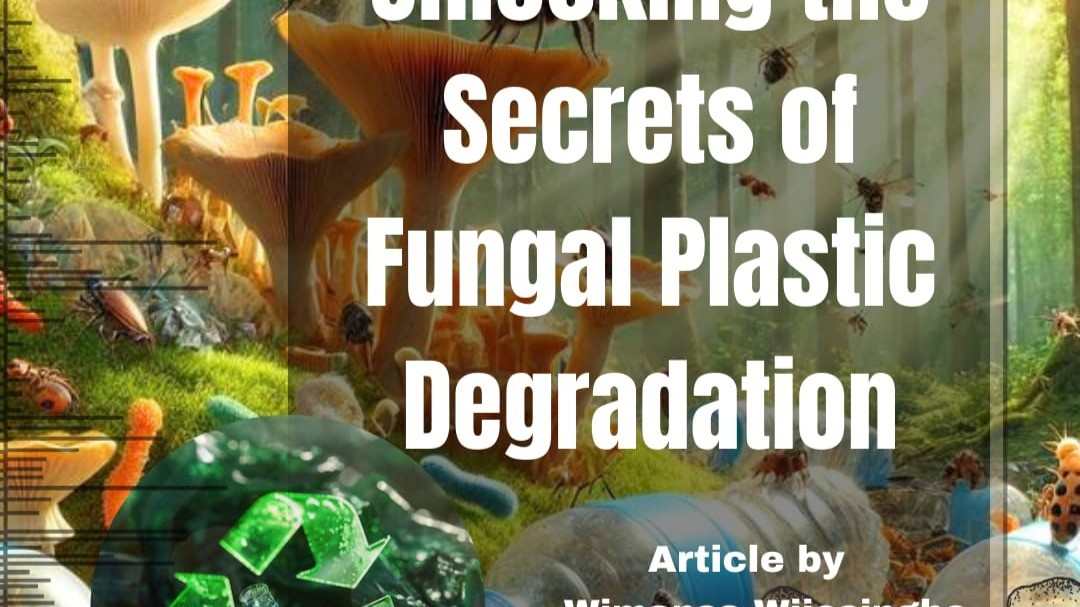 Unlocking the Secrets of Fungal Plastic Degradation Unlocking the Secrets of Fungal Plastic Degradation