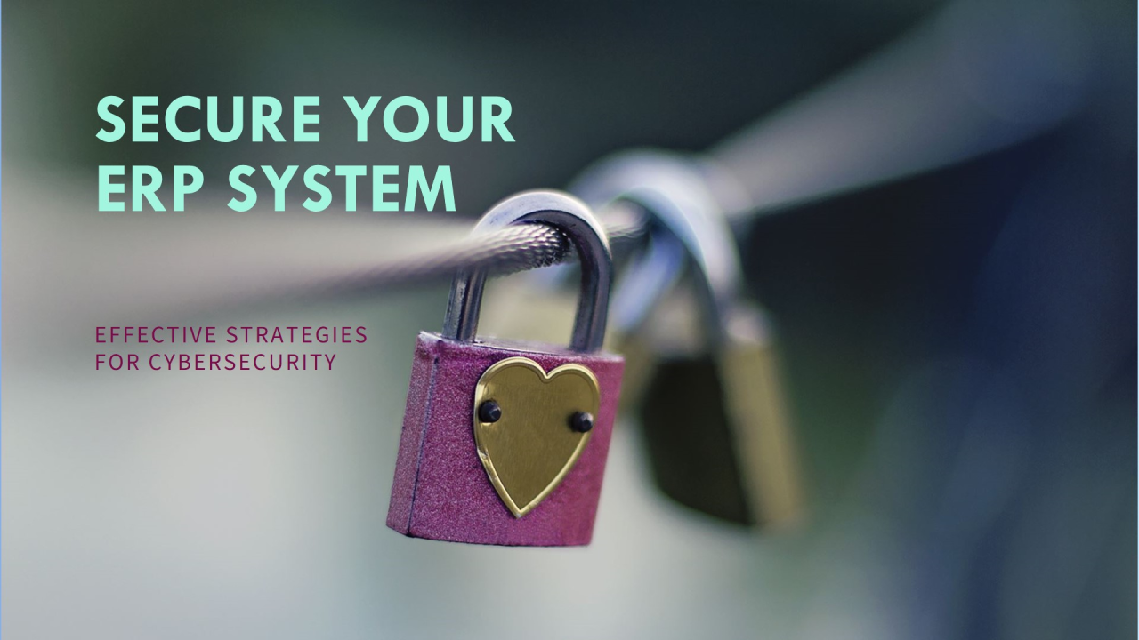 Enhancing ERP Security: Strategies for Cybersecurity in an Integrated ... Enhancing ERP Security: Strategies for Cybersecurity in an Integrated ...