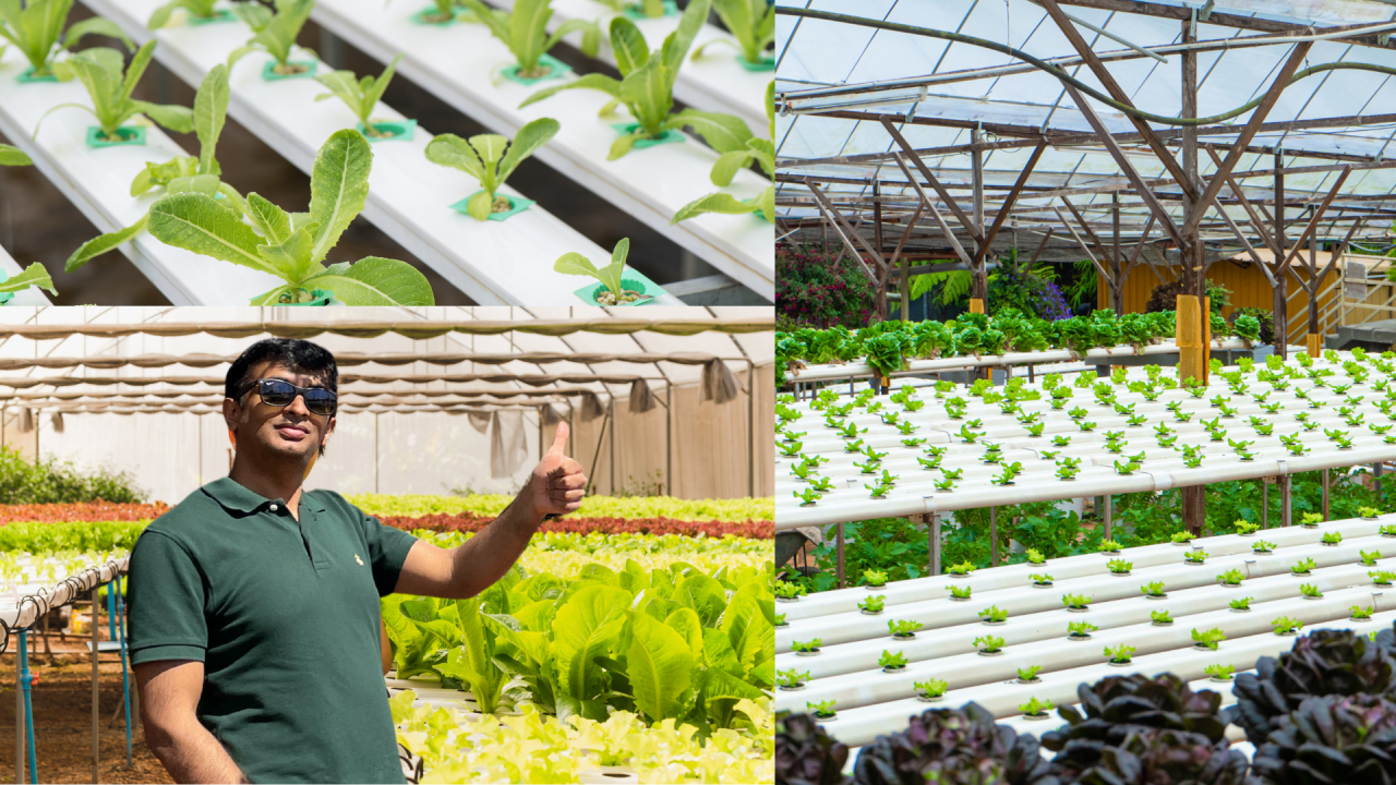 Exploring the Future: Precision Farming, Hydroponics, and AI at ... Exploring the Future: Precision Farming, Hydroponics, and AI at ...